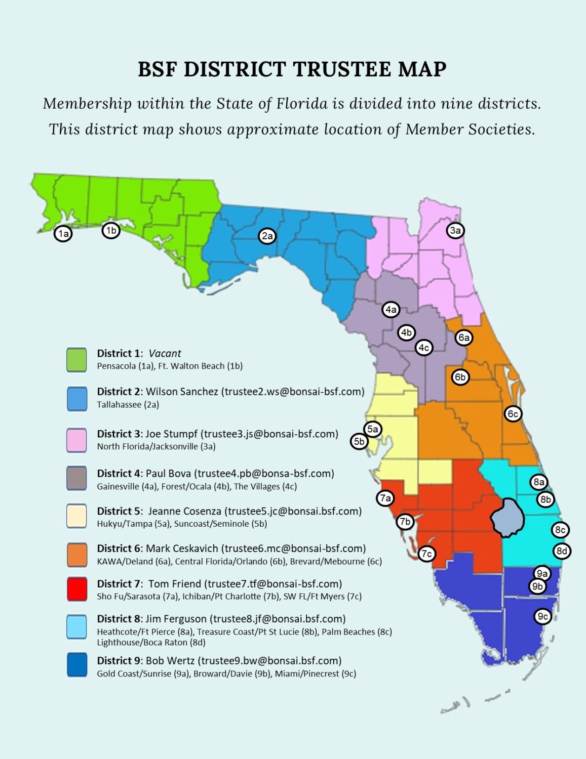 Local Clubs - BSF Bonsai